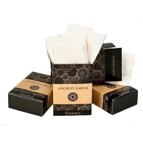 Ancient Earth Pocket Tissues x 100 boxes - Hotel Products Direct
